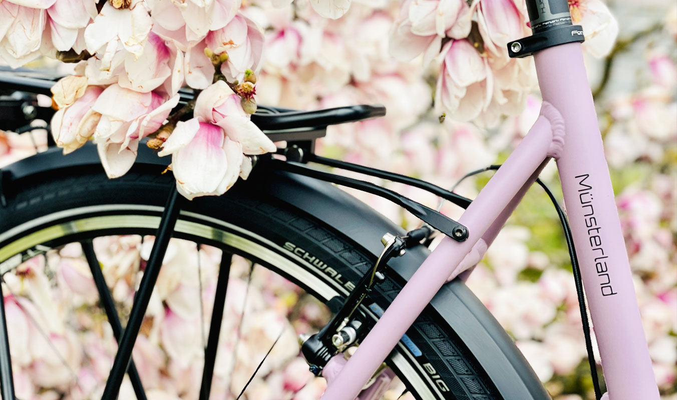 Münsterland - MaxCycles